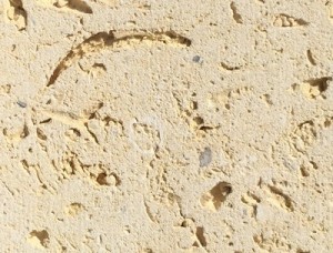 Cordova Cream - Alamo Stone