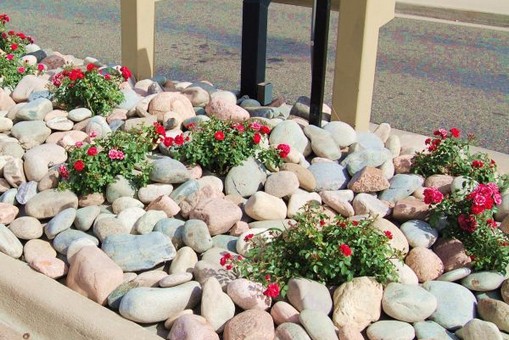 Rocky Mountain Pebbles - Alamo Stone